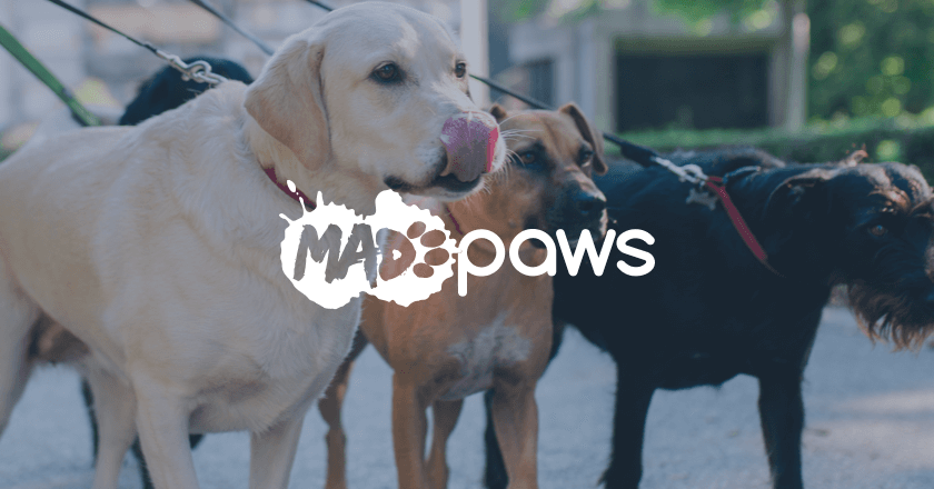 How Mad Paws uses Mixpanel to track user journeys across its dual-sided ...